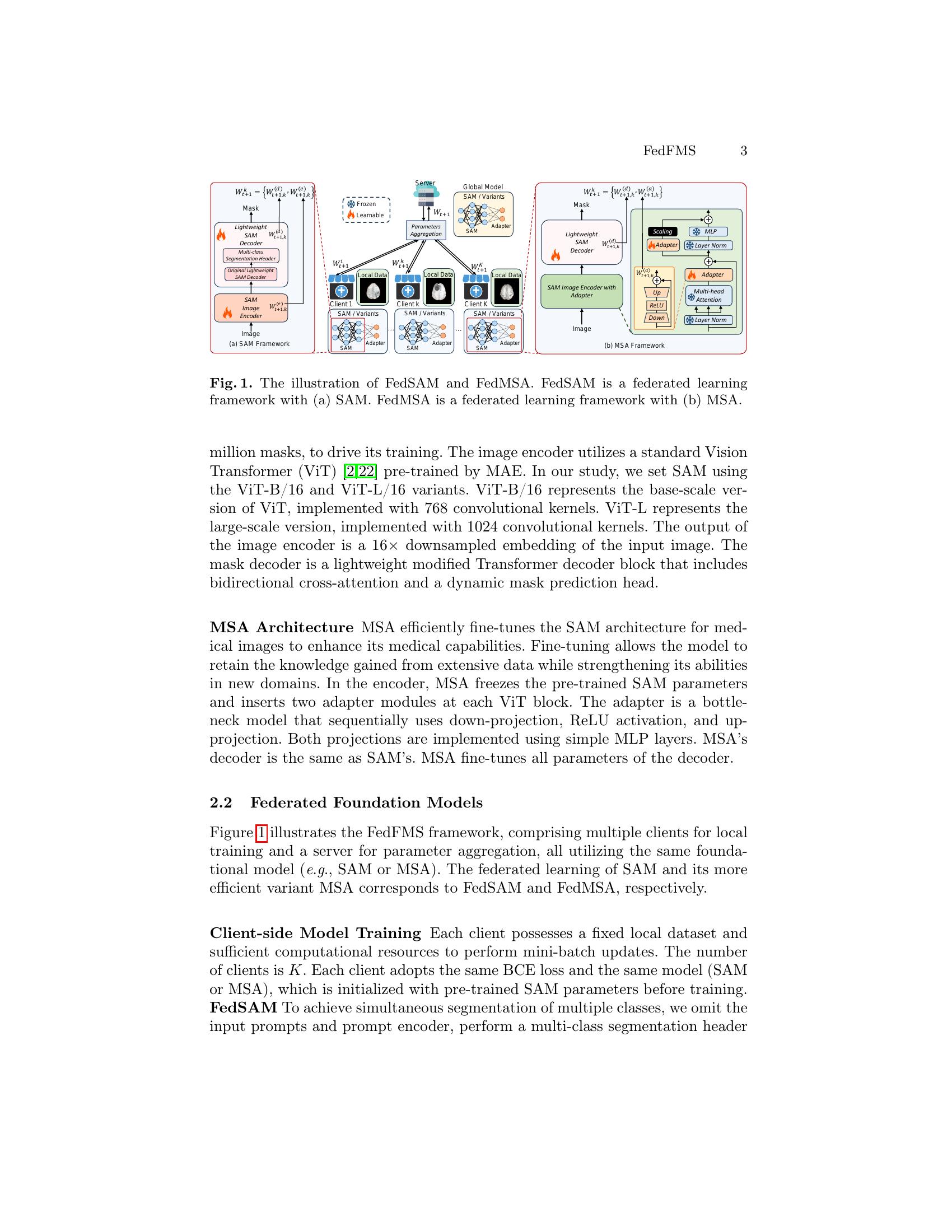 FedFMS: Exploring Federated Foundation Models for Medical Image ...