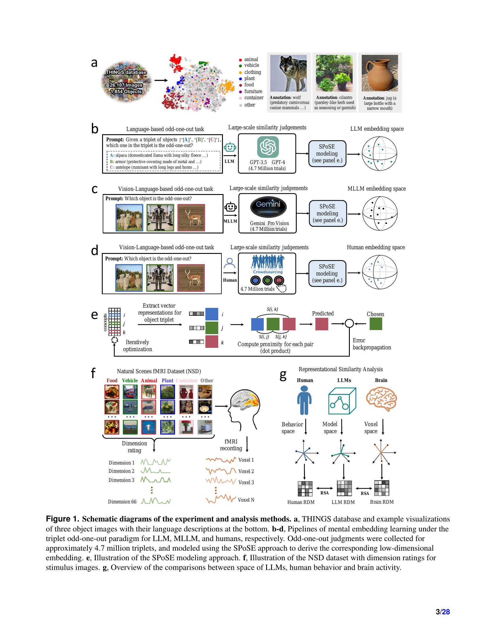 Human-like object concept representations emerge naturally in ...
