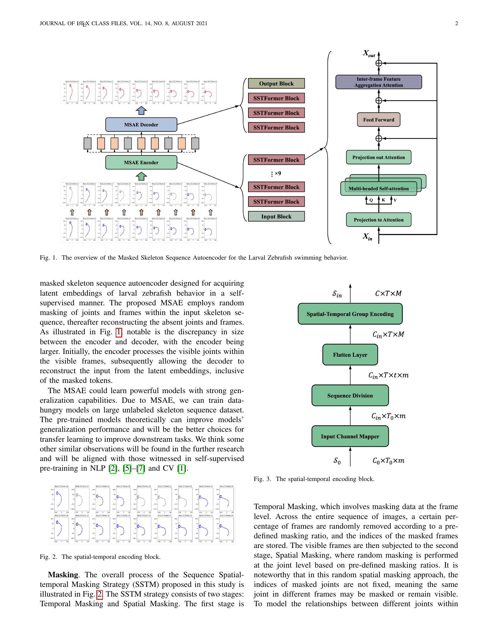 Technical Report: Masked Skeleton Sequence Modeling for Learning Larval ...