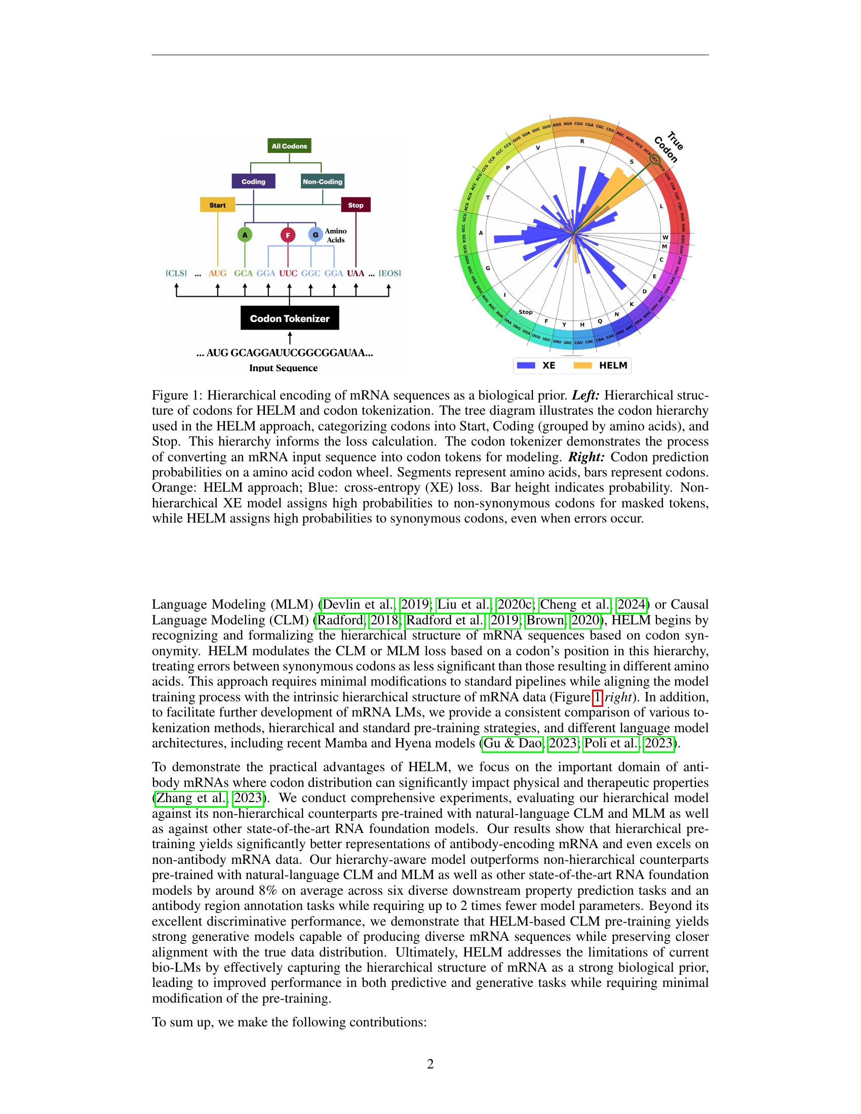 HELM: Hierarchical Encoding for mRNA Language Modeling - 智源社区论文