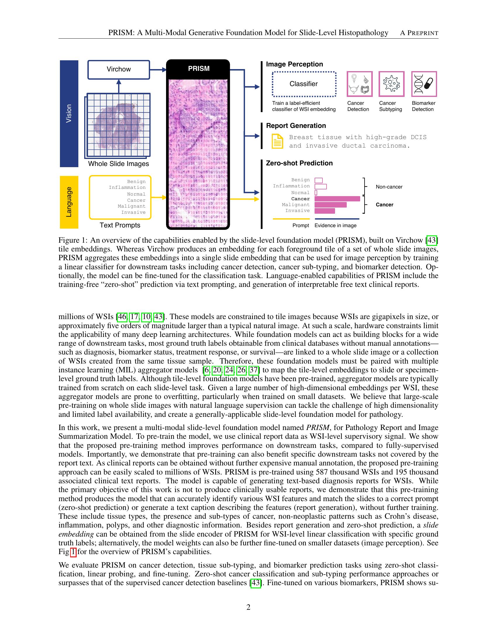 PRISM: A Multi-Modal Generative Foundation Model for Slide-Level Histopathology - 智源社区论文