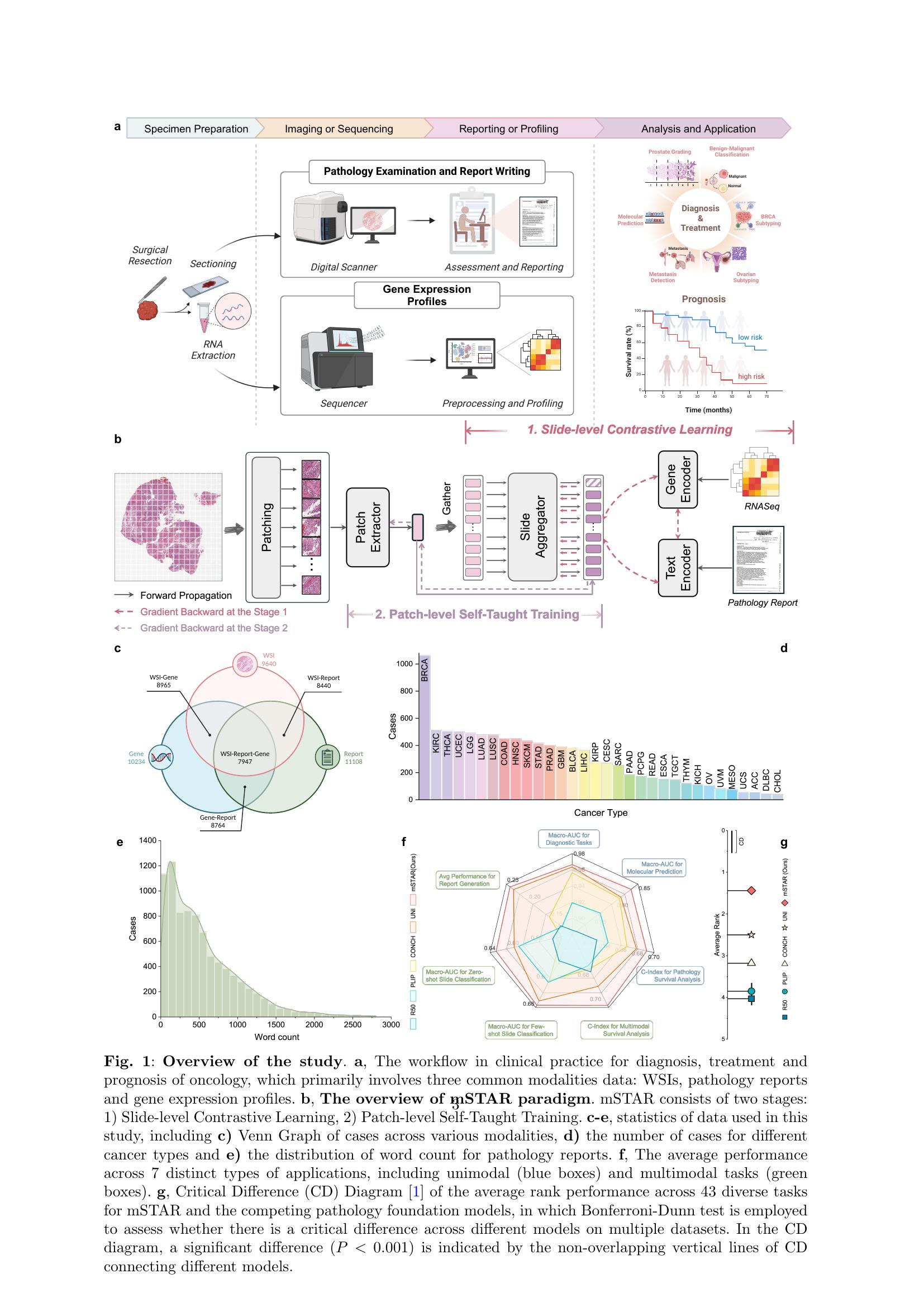 A Multimodal Knowledge-enhanced Whole-slide Pathology Foundation Model - 智源社区论文