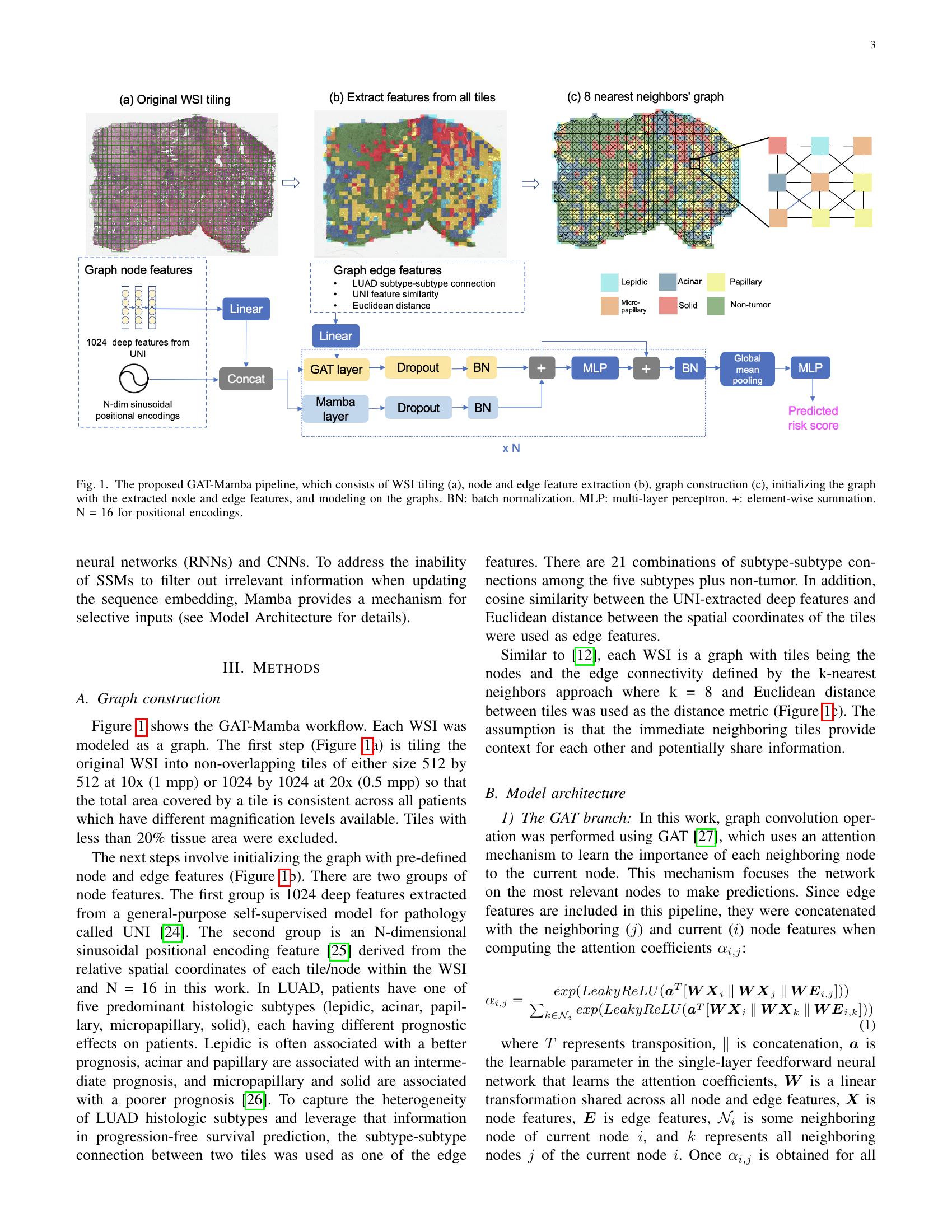 Combining Graph Neural Network and Mamba to Capture Local and Global ...