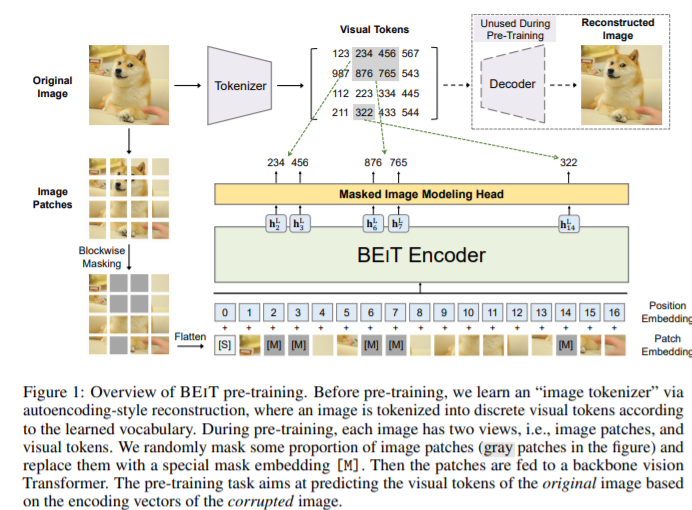 Transformer | BEIT：BERT 图像Transformer预训练 - 智源社区