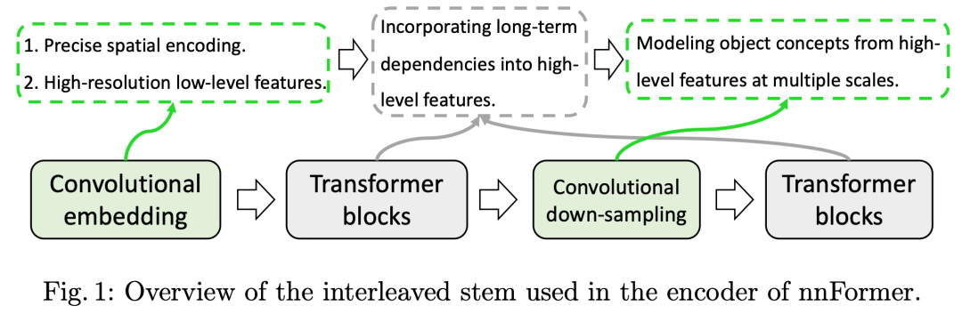 厦大&港大重磅开源nnFormer：用于医学图像分割的交叉Transformer - 智源社区