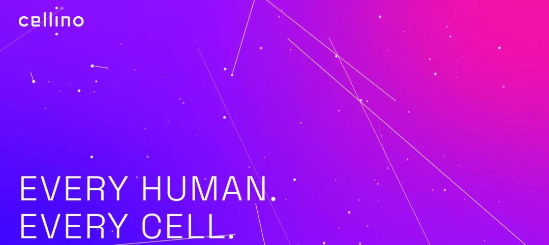 Cellino利用AI自动化干细胞生产，将细胞疗法变得大众化 - 智源社区