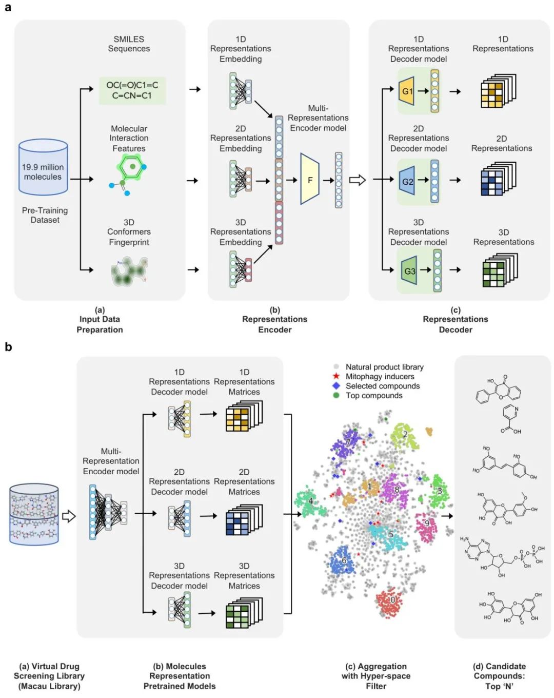 Nature BME ｜ AI实现「大海捞针」：虚拟筛选发现全新的线粒体自噬诱导剂对抗阿尔茨海默症 - 智源社区