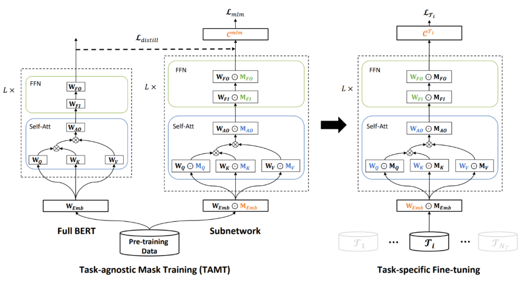 ACL 2022 | 中科院提出TAMT：TAMT：通过下游任务无关掩码训练搜索可迁移的BERT子网络 - 智源社区