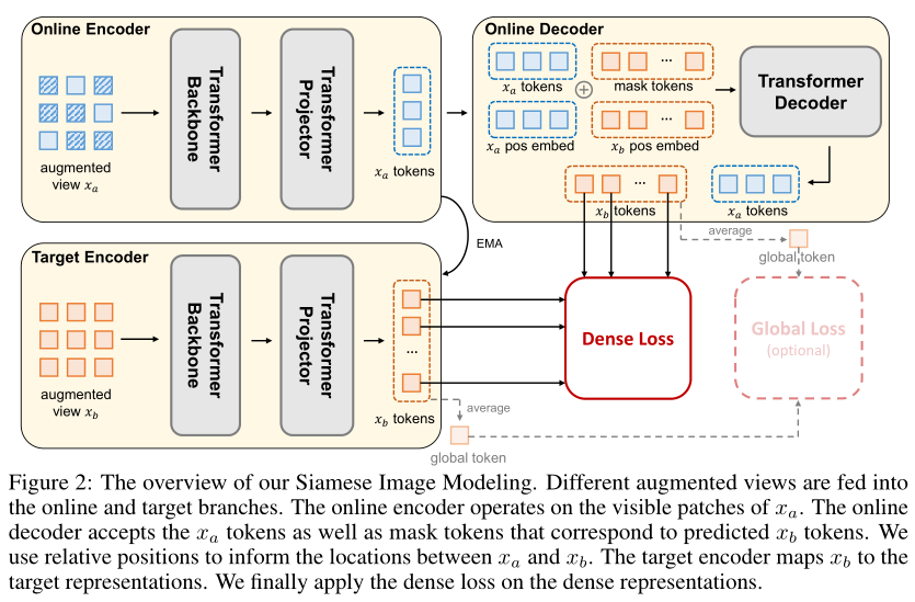 清华&商汤&上海AI&CUHK提出Siamese Image Modeling，兼具linear probing和密集预测性能！ - 智源社区