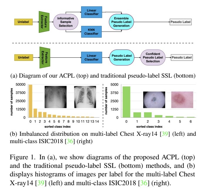 CVPR 2022 ｜ACPL：用于半监督医学图像分类的反课程伪标签法 - 智源社区