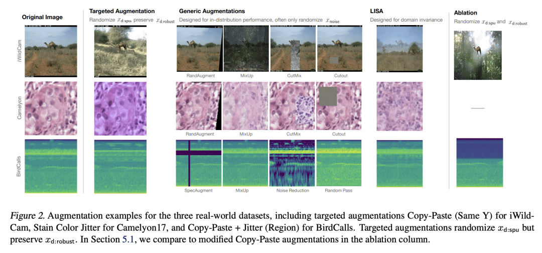 斯坦福大学 | 通过针对性增强实现域外鲁棒性 - 智源社区