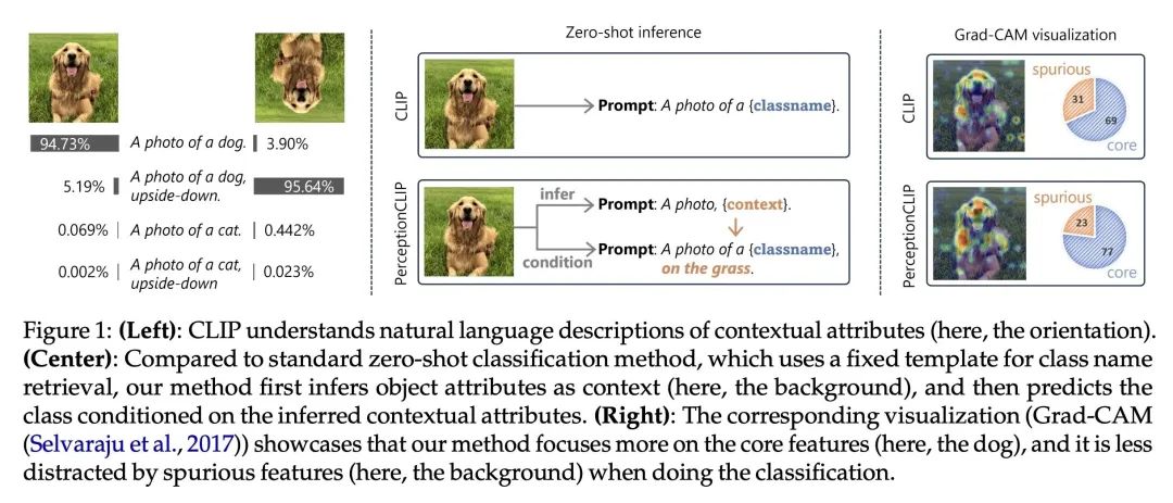 更多上下文，更少干扰：基于上下文属性推断和条件化的视觉分类 - 智源社区