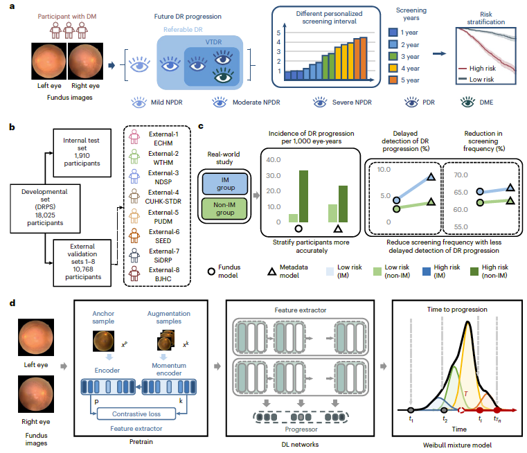 上海交大与清华联手发布 DeepDR Plus，仅用眼底图像可预测 5 年内糖尿病视网膜病变进展 - 智源社区