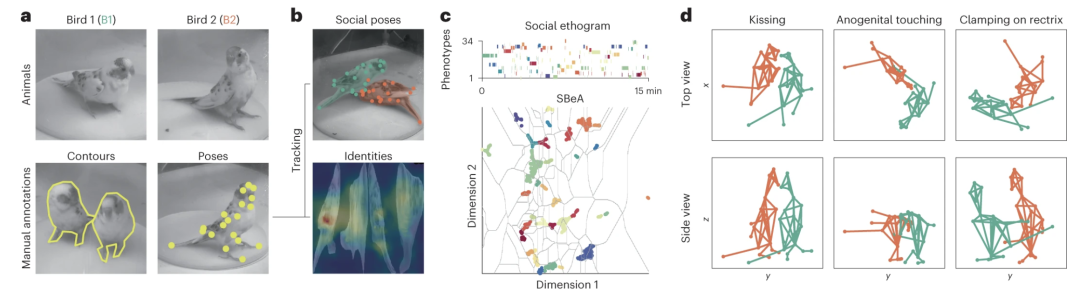 中科院深圳先进院提出 SBeA，基于少样本学习框架进行动物社会行为分析 - 智源社区