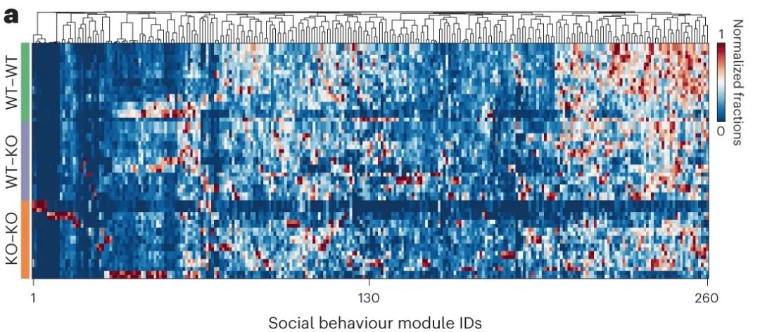中科院深圳先进院提出 SBeA，基于少样本学习框架进行动物社会行为分析 - 智源社区