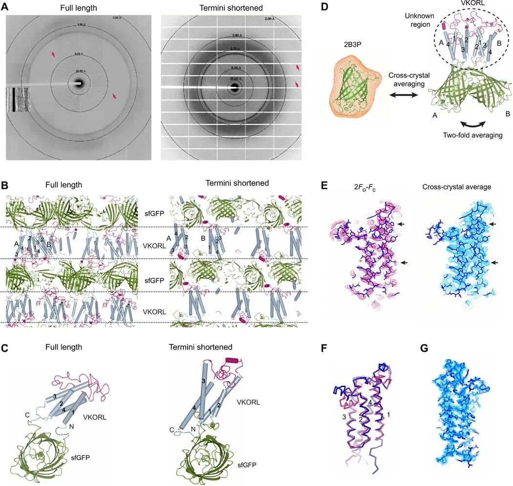 一文读懂蛋白结构解析技术: X射线衍射（X-Ray） - 智源社区
